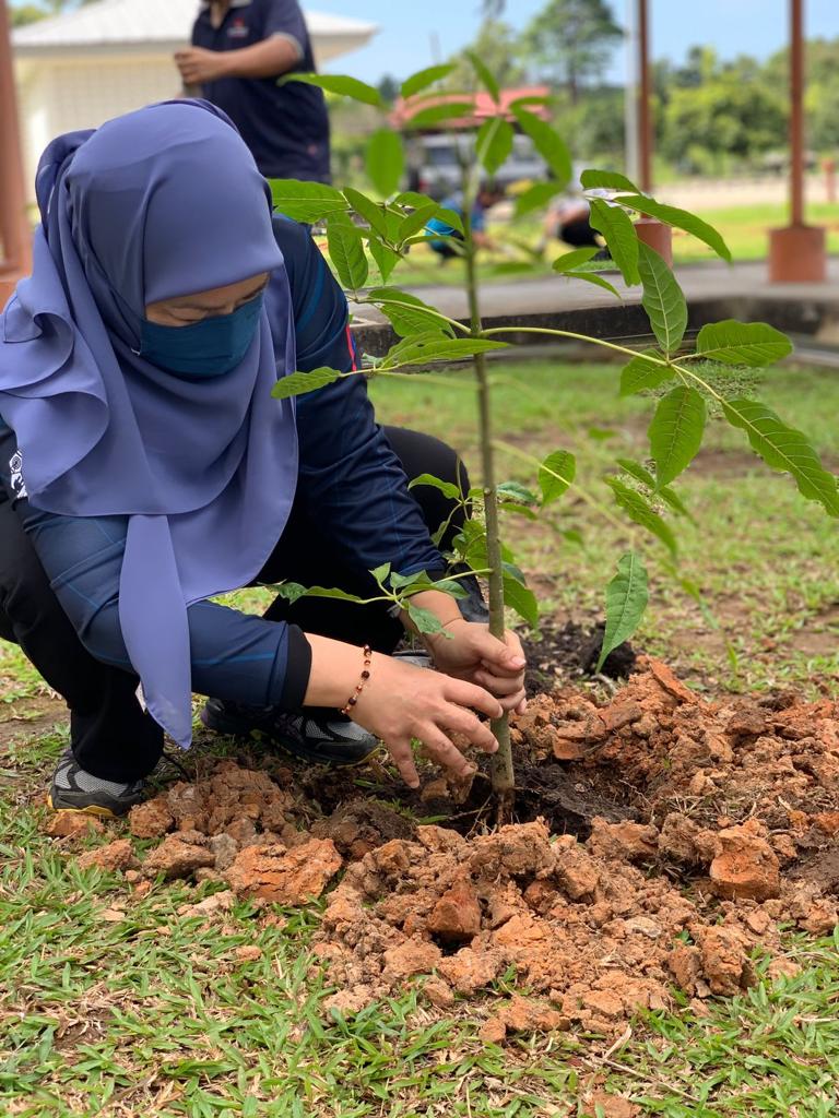 Politeknik Brunei Plants Trees To Support Brunei Darussalam’s Green ...